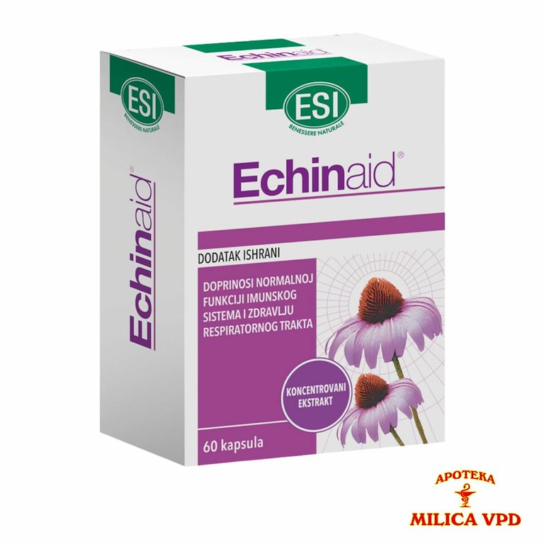 Echinaid kapsule A60