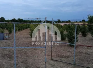 Prodaja Građevinsko zemljište - Novi Sad, Radna zona - Sever