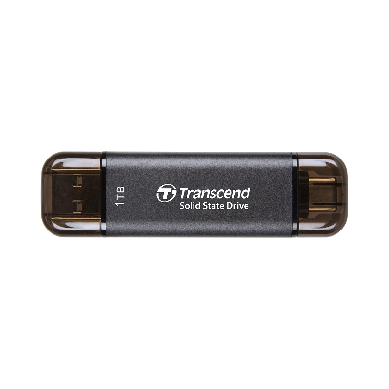 Transcend TS1TESD310C