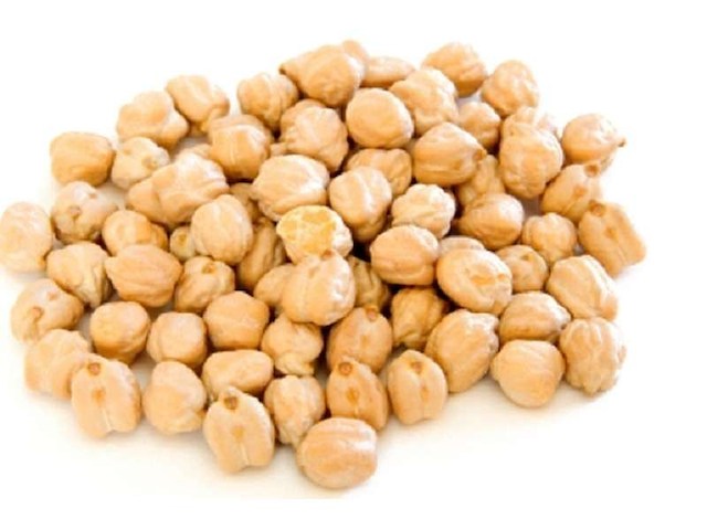 Naut (Leblebija) 150 semena