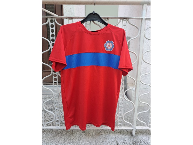 Radnicki Novi Berograd dres