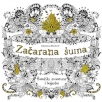 Začarana šuma