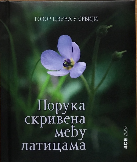 Порука скривена међу латицама: Говор цвећа у Србији