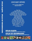 Atlas gljiva i internacionalni rečnik narodnih imena gljiva: Atlas of mushrooms and international dictionary of mushroom folk names