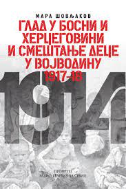 Глад у Босни и Херцеговини и смештање деце у Војводину: 1917-1918.