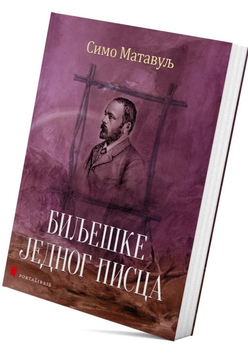 Биљешке једног писца, Симо Матавуљ
