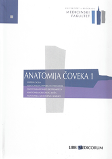 Anatomija čoveka 1 Osteologija, anat. gornjeg i donjeg ekstremiteta, anatomija abdomena i karlice