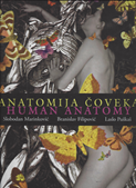 Anatomija čoveka / Human Anatomy