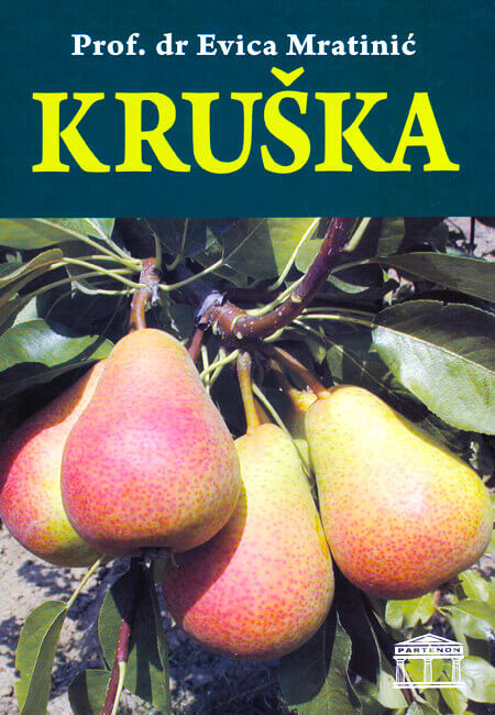 Kruška