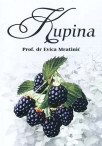 Kupina