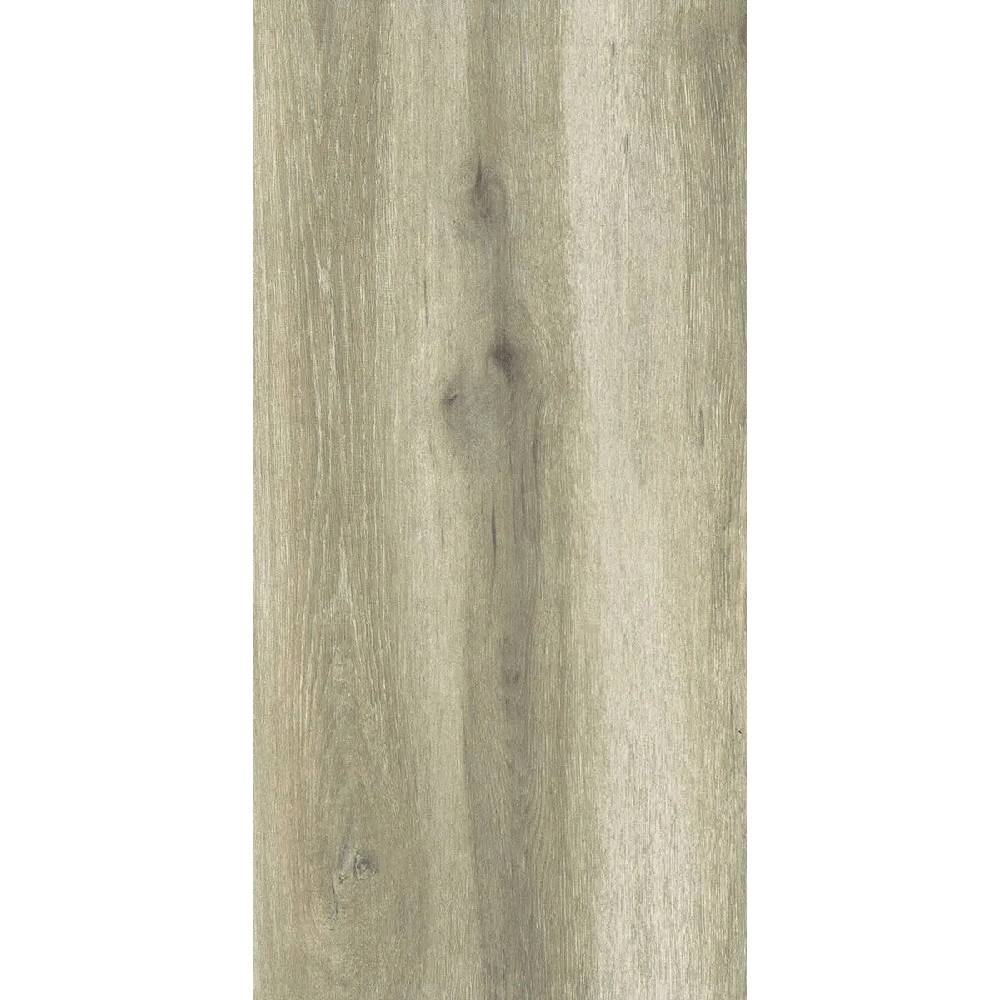 Forest Birch 30×60