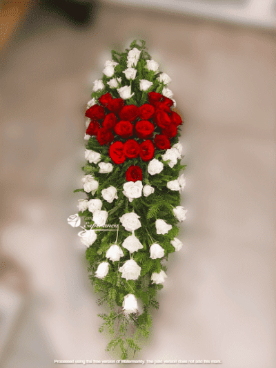 Suza za sanduk 1.7m Crvena i bela ruza