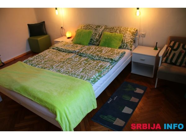 Green Cactus Rooms - privatni smeštaj u Senti do 6 osoba