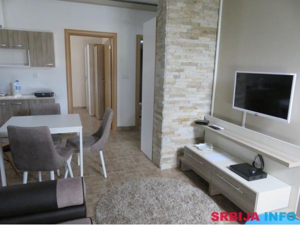 Bright and cozy new apartment, Kopaonik