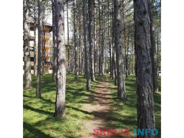 Apartman Sani Zlatibor