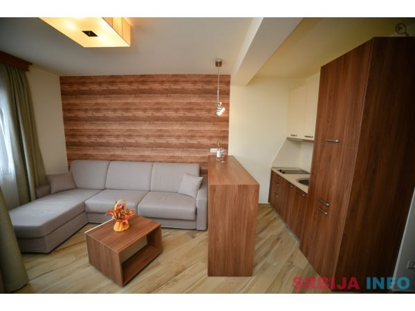 Studio Apartman Central Inn 5 Zlatibor Planina