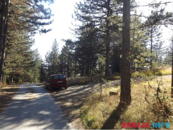 Prodaje se plac u Musvetama, Zlatibor, Cajetina