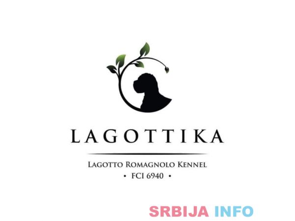 Lagotto romagnolo štenci