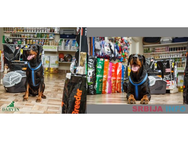 Veterinarska ambulanta i pet shop Novi Sad