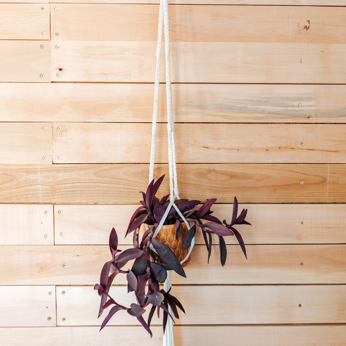 Macrame plant hanger kikice