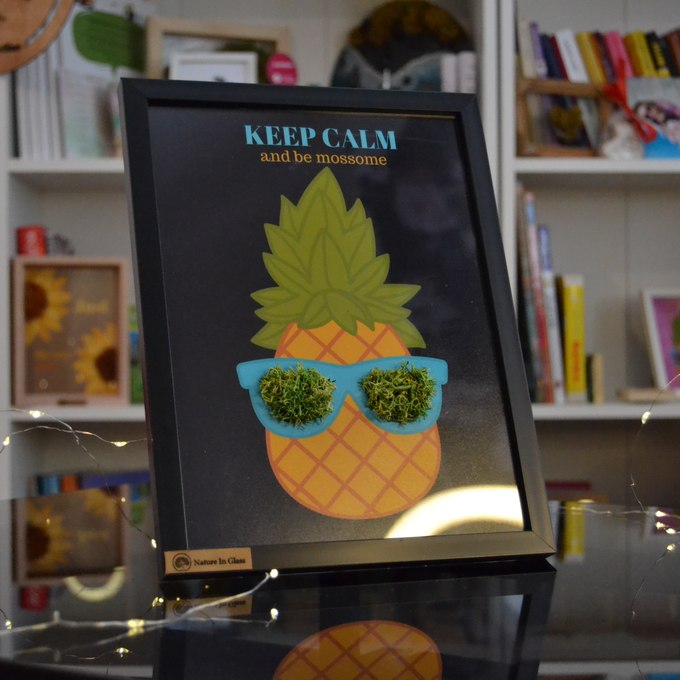 Slika sa mahovinom - ananas (KEEP CALM)