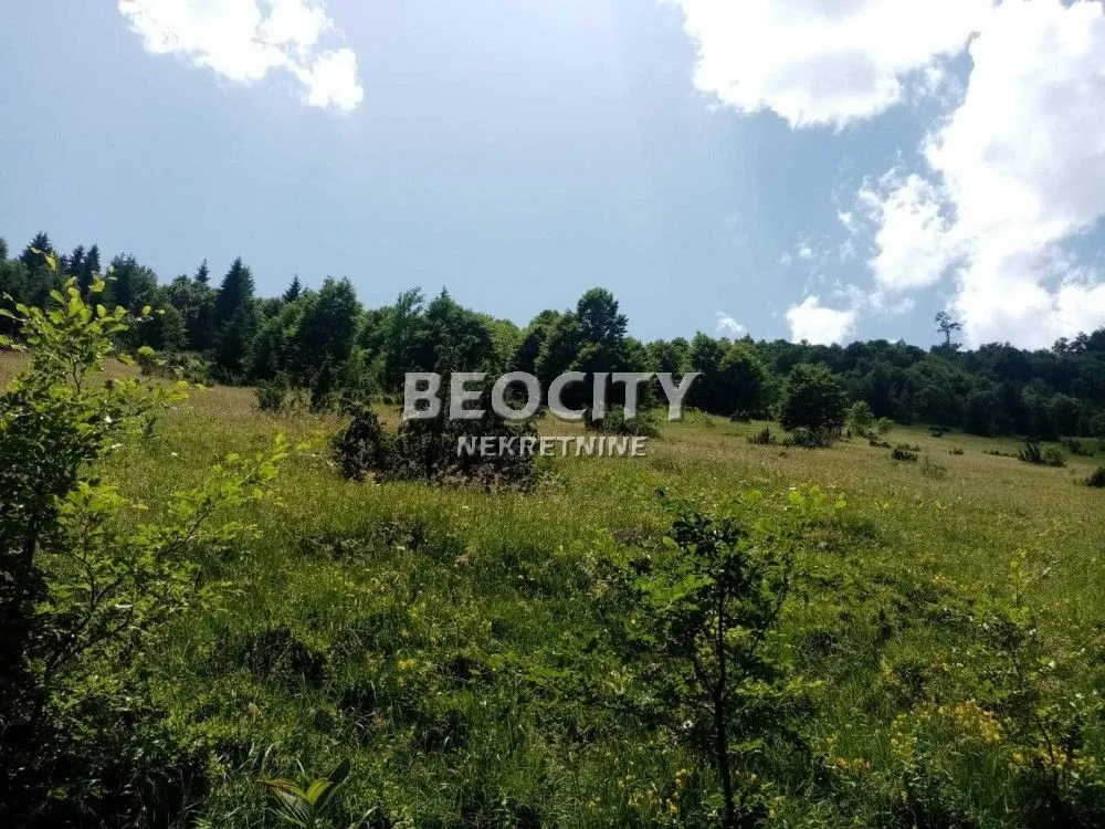 Prodaja, zemljište, 100m2, Golija, Ivanjica