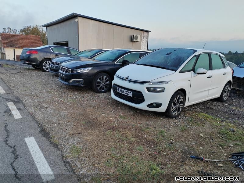Citroen C4 Picasso 16ehdi Kompletan Auto U Delovima