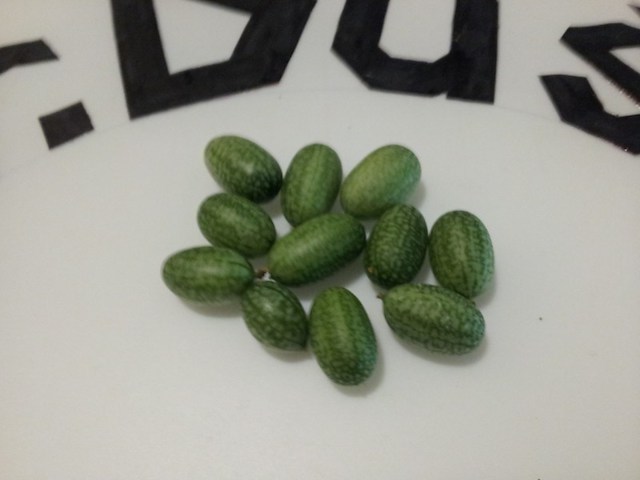 Krastavac Meksički mini (Cucamelon), 50 semenki