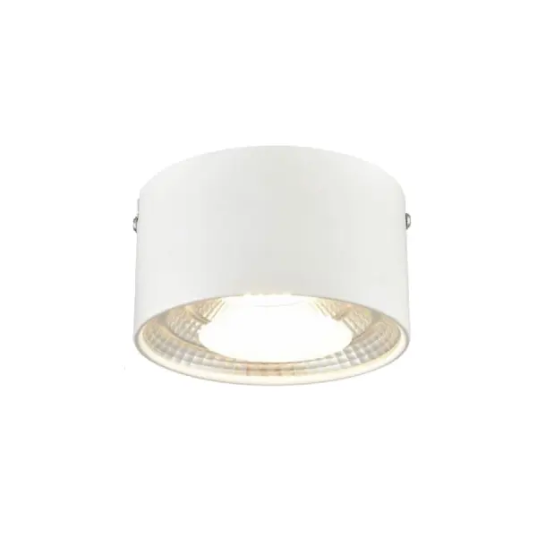 LEON plafonska lampa Esto D110x70 12W LED 3000K hrom