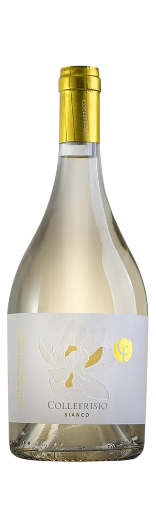 COLLEFRISIO Magnolia bianco IGT belo vino 0,75 l