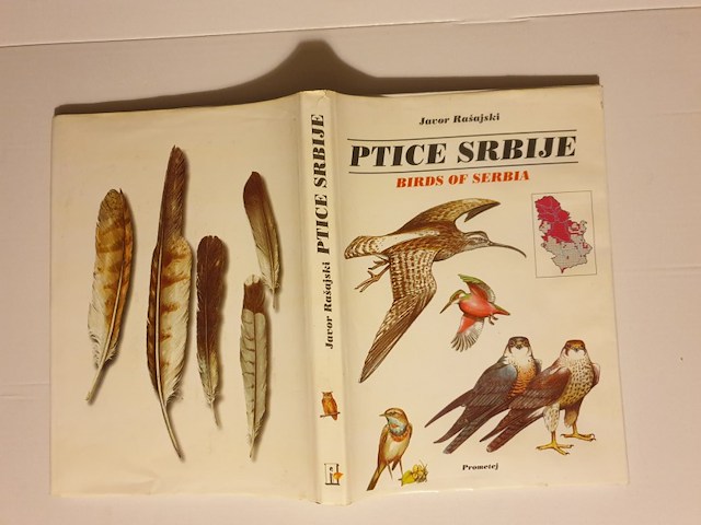 PTICE SRBIJE Birds of Serbia - Javor Rašajski