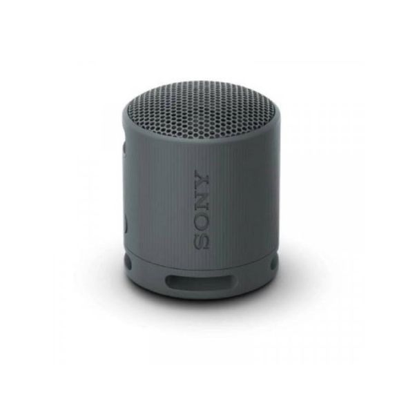 SONY Bluetooth zvučnik SRS-XB100, crna