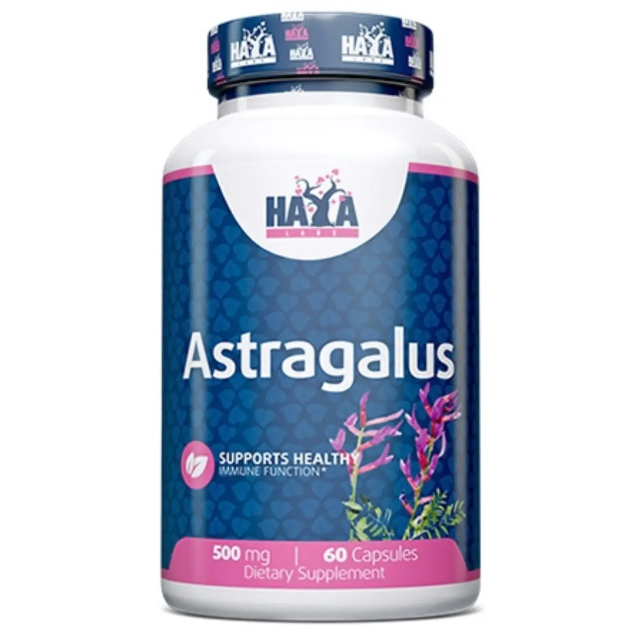 Astragalus 60cap/500mg – Haya Labs