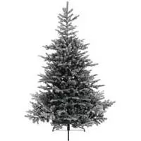 Novogodišnja jelka Everlands Grandis Fir Snowy 120cm