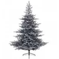 Novogodišnja jelka Everlands Frosted Grandis fir 210cm