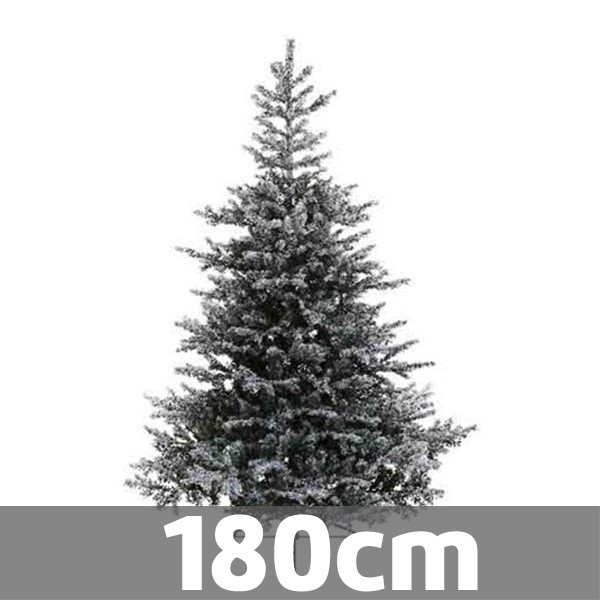 Novogodišnja jelka - Snežna jela Grandis fir snowy 180cm Everlands ( 68.9761 )