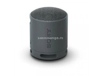 SONY Bluetooth zvučnik SRS-XB100/ crna