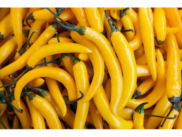 Aji Amarillo (seme) cili paprika