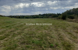 Krušedol-Plac 3780 m2 u blizini naselja-065/385 8880