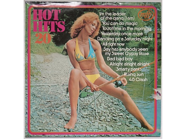 UNKNOWN   ARTIST  -  HOT  HITS  20