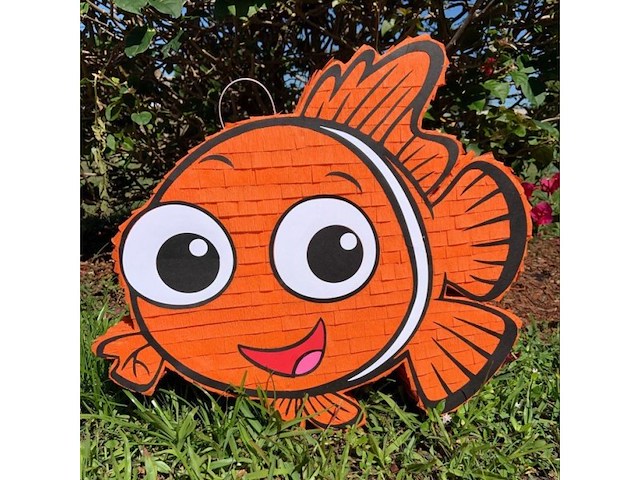 NEMO, pinjata