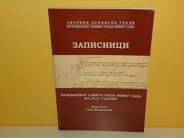 ZAPISNICI PROŠIRENOG SAVETA GRADA NOVOG SADA IZ 1919.