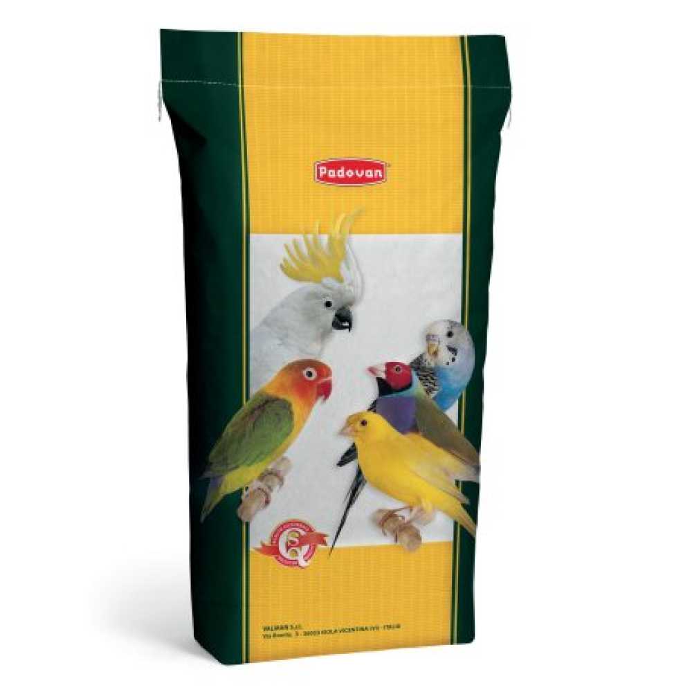 Padovan Scagliola Canary seed 20kg