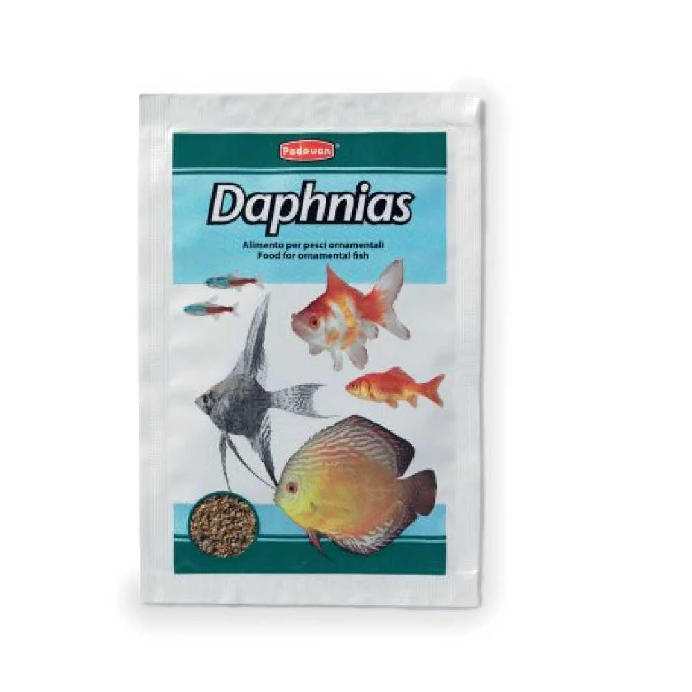 Padovan Daphnias 5g