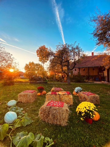 Seosko domaćinstvo, Aranđelovac