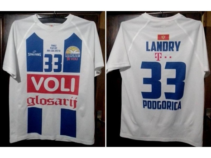 Landry Buducnost voli S