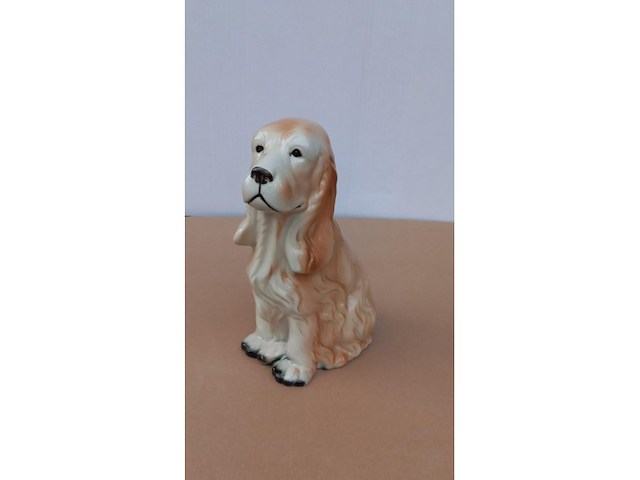 Engleski koker spanijel veca figura psa