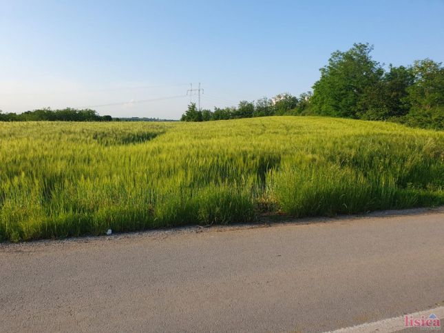 Prodajem plac 101 ar u Velikoj Moštanici opština Čukarica 15min od Beograda