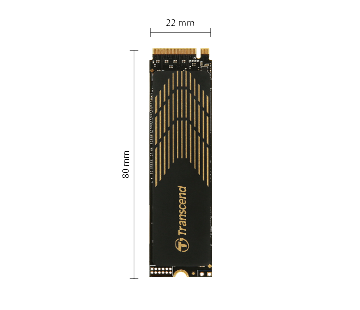 M.2 500GB, 2280, PCIe Gen4x4, M-Key, 3D TLC, with Dram, Read/Write up to 3,800/2,800 MB/s