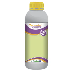 Tecnokel Amino Ca 1L